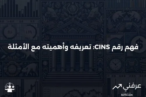 رقم CINS: المعنى، الأهمية، المثال | عرفني